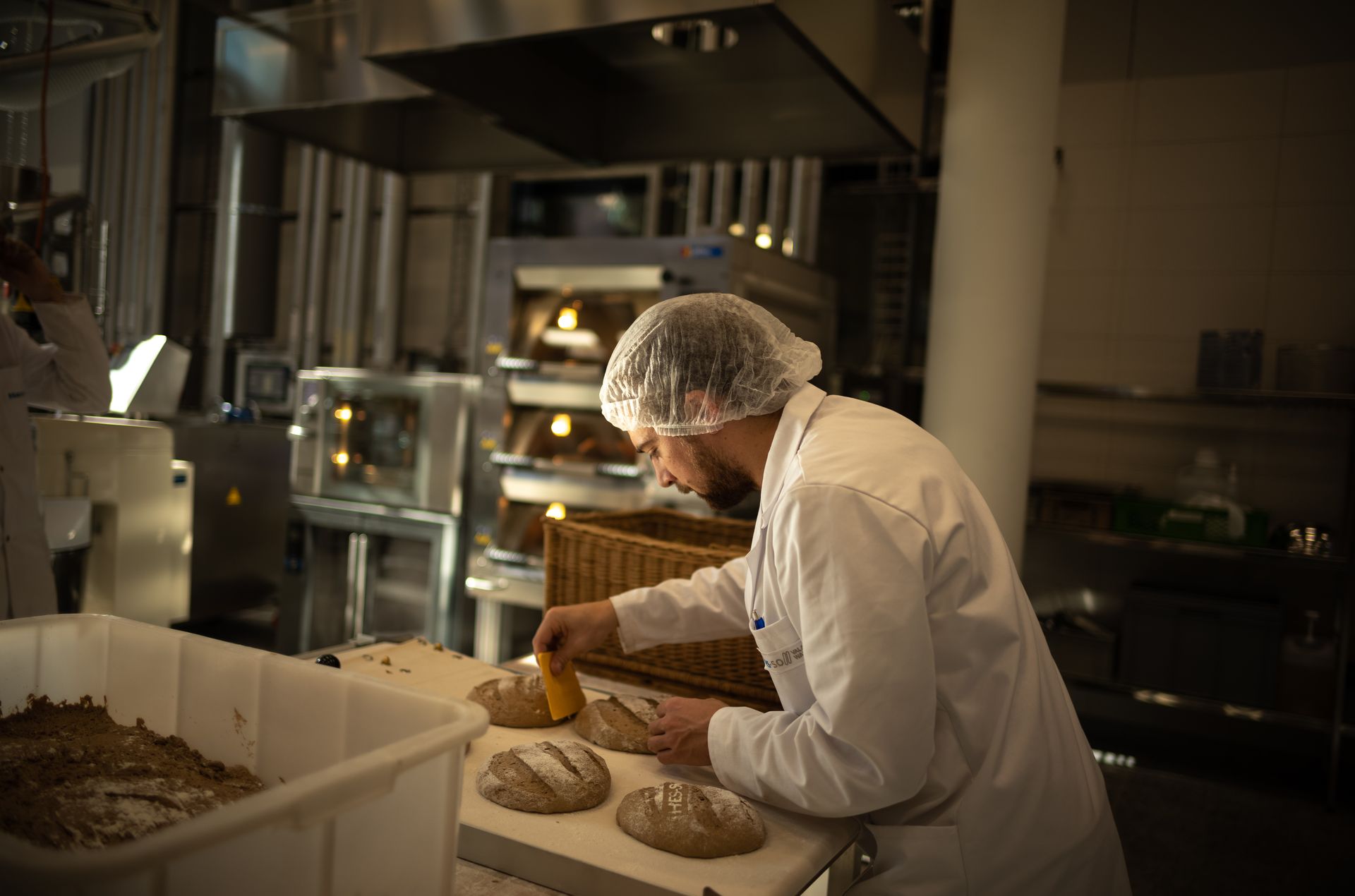 ProSeed - Process Engineering for a resilient food system